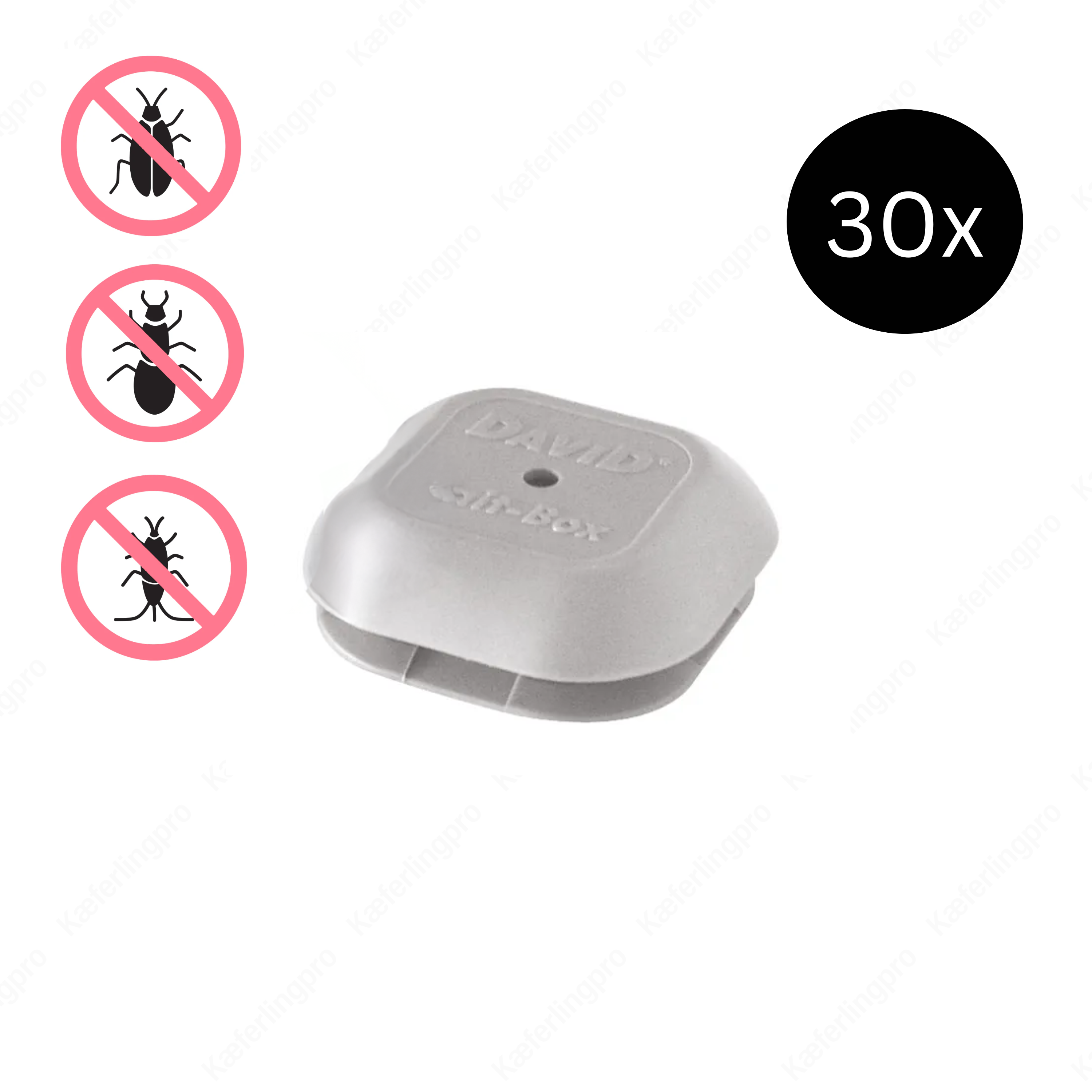 David® Leerköderdose blanco – para gel contra cucarachas, hormigas ...